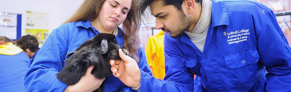 BTEC Level 2 Technical Diploma in Animal Care | Solihull College ...