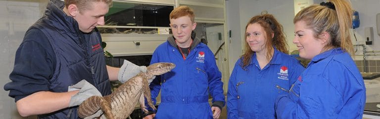 BTEC National Foundation Diploma in Animal Management Course | Solihull ...